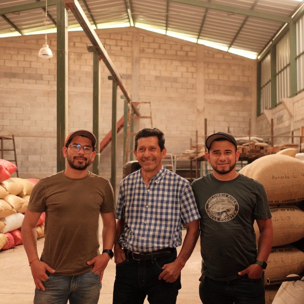 Guatemala | Finca Villaure Naranjas Nadando – PT's Coffee