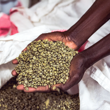 PT's Coffee | Celebrating 30 years!