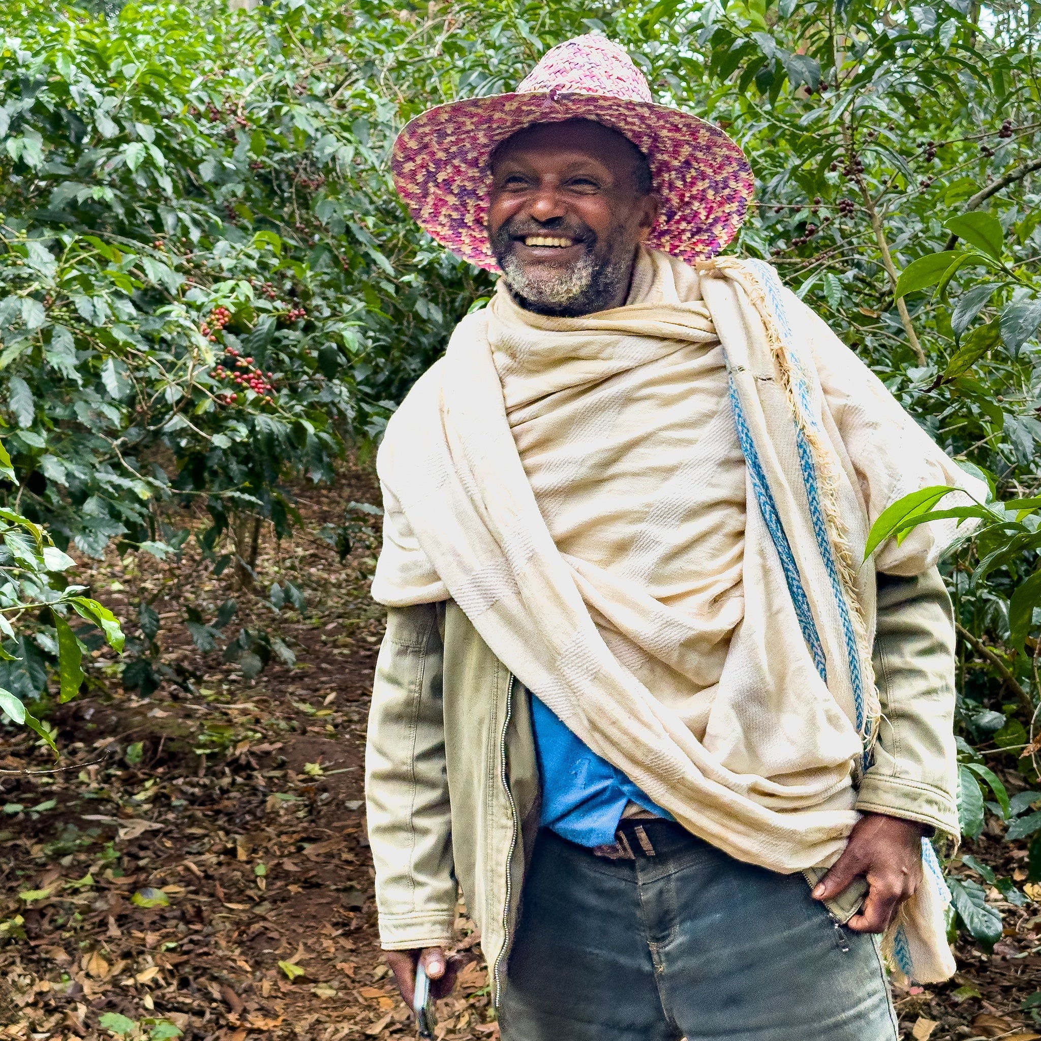 Ethiopia | Shibru Dube Chechele Natural – PT's Coffee