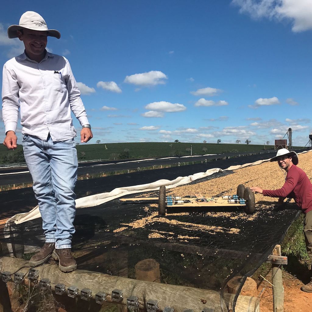 Terra Alta Pulped Natural – PT's Coffee